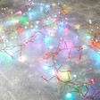 Plug In LED Rainbow Firefly String Lights| Lisa Angel