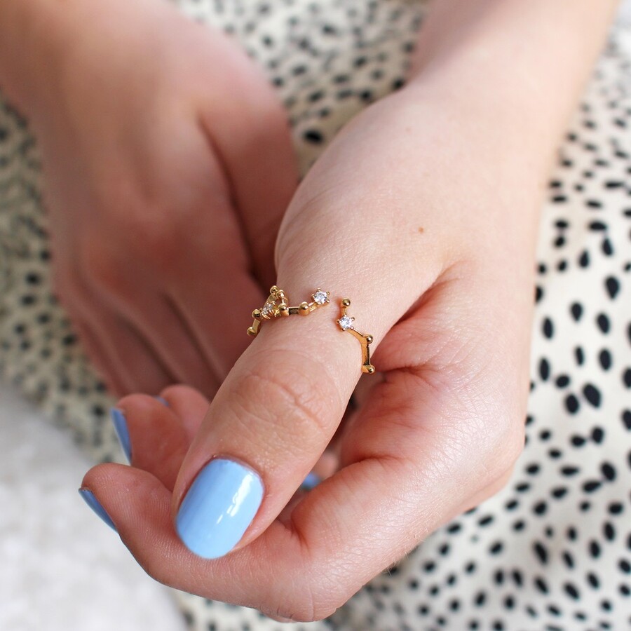 Adjustable Constellation Ring | Lisa Angel
