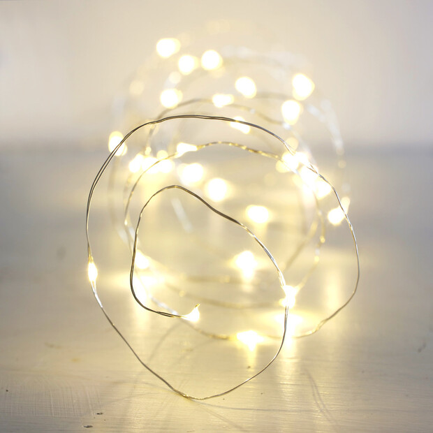 30 Battery Powered LED Silver Wire String Lights | Lisa Angel