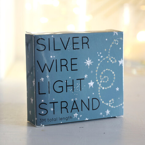 30 Battery Powered LED Silver Wire String Lights | Lisa Angel