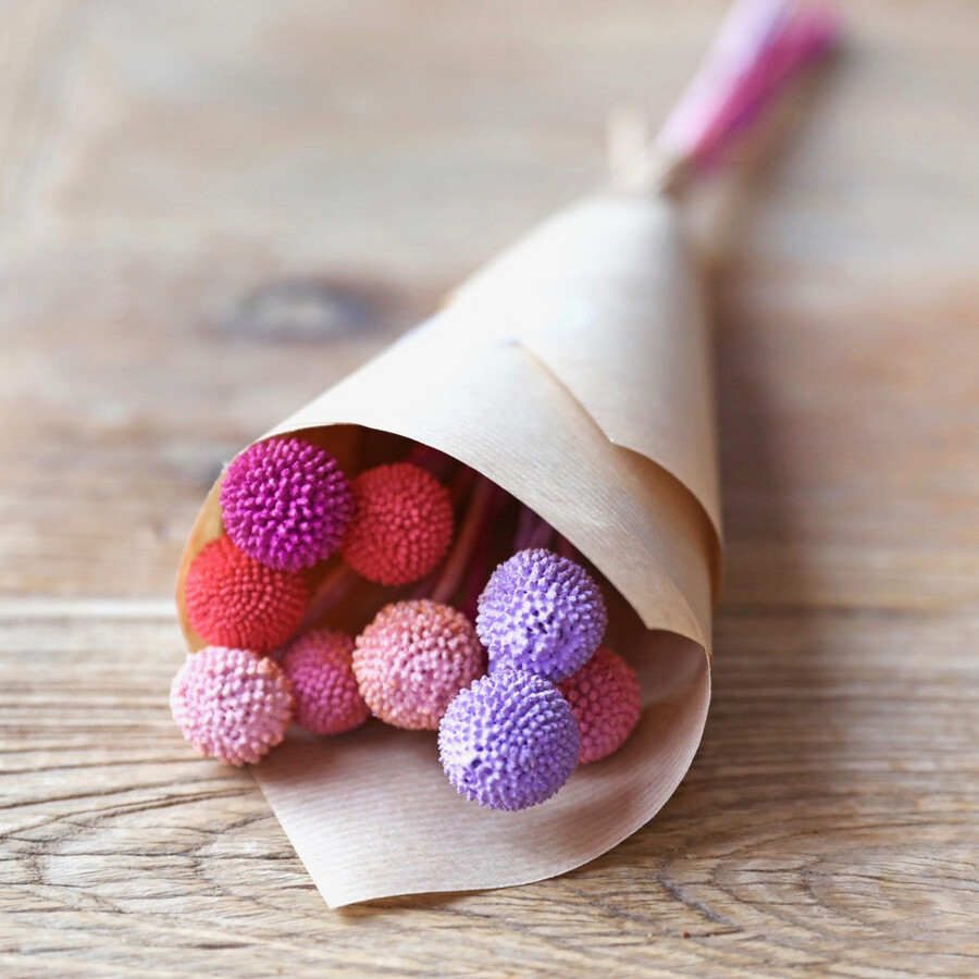 Preserved Candy 'Billy Buttons' Craspedia Flowers