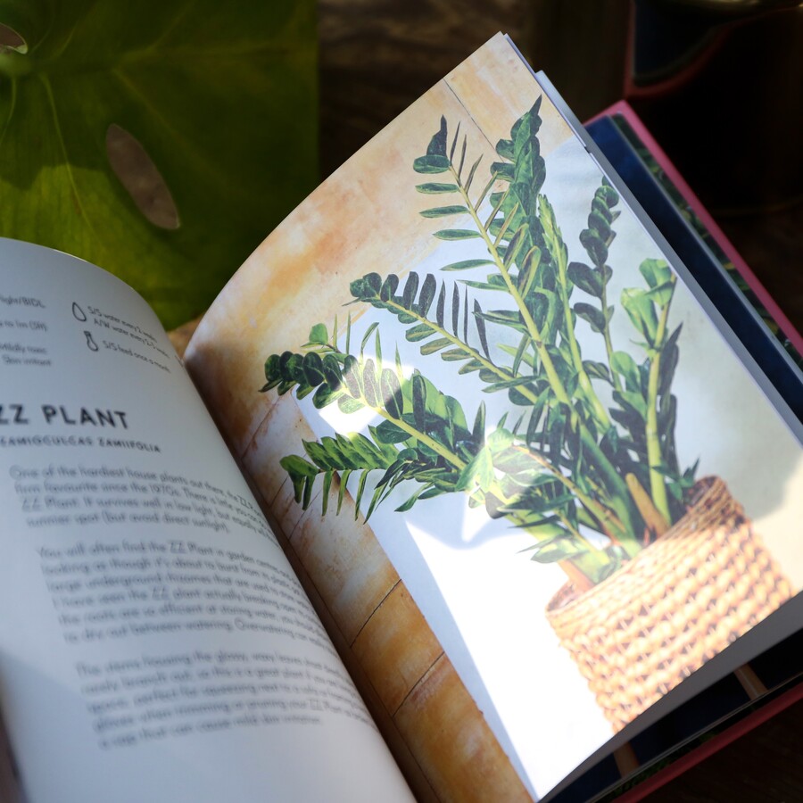 Little Book Big Plants | Emma Sibley | Lisa Angel