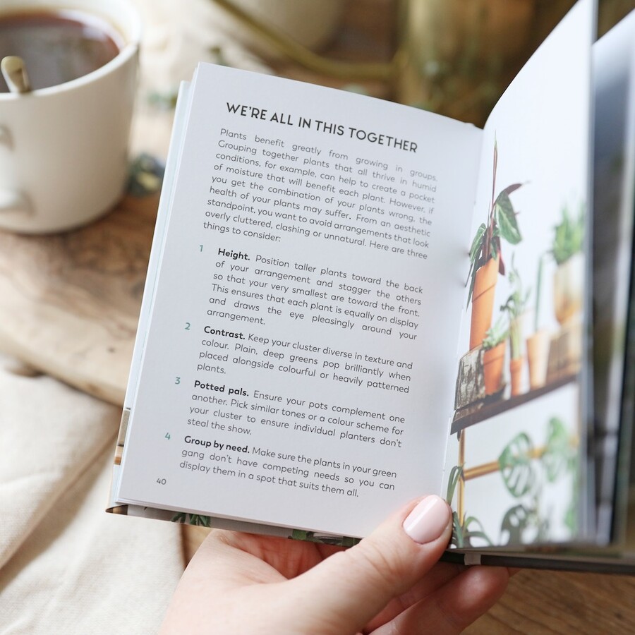 The Little Book for Plant Parents | Gifts | Lisa Angel