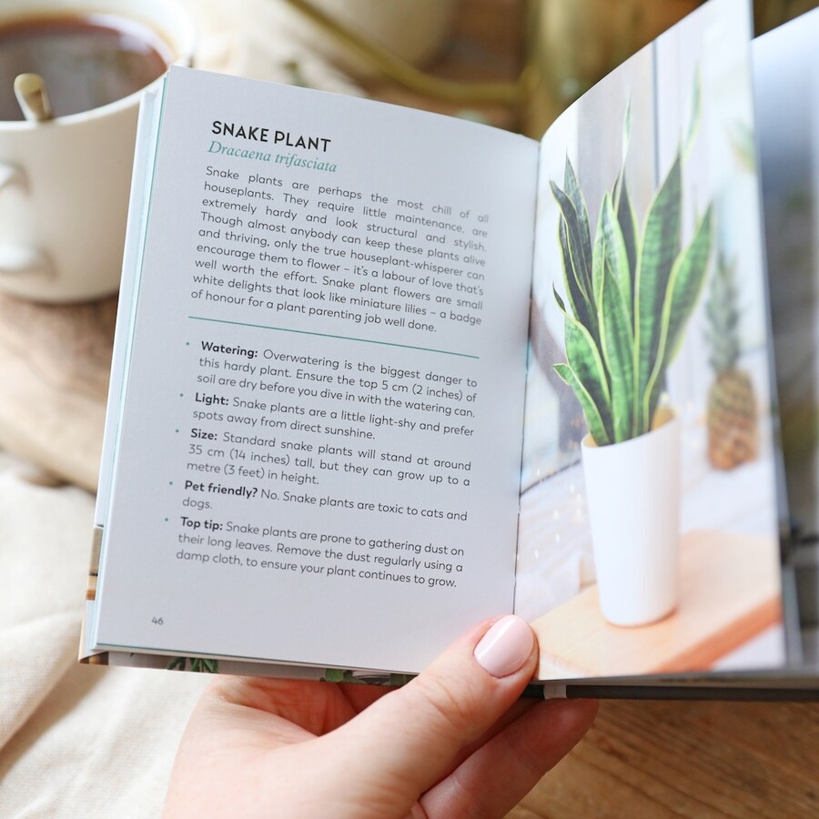 The Little Book for Plant Parents | Gifts | Lisa Angel