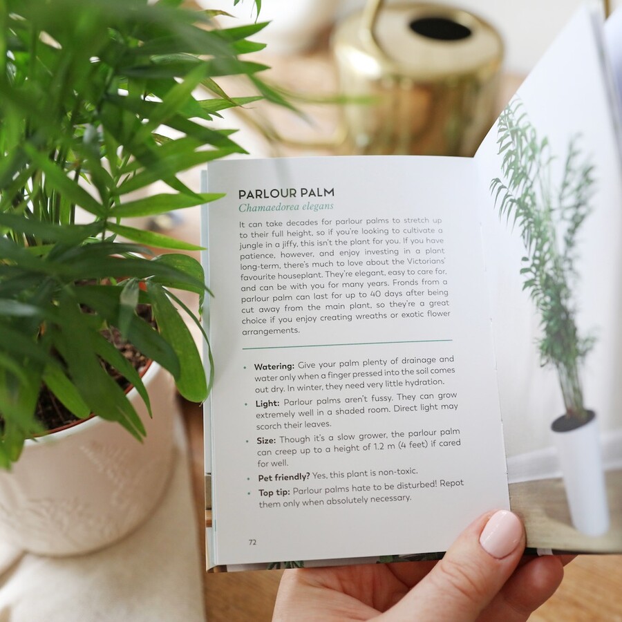 The Little Book for Plant Parents | Gifts | Lisa Angel