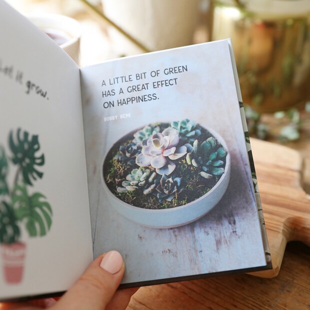 The Little Book for Plant Parents | Gifts | Lisa Angel