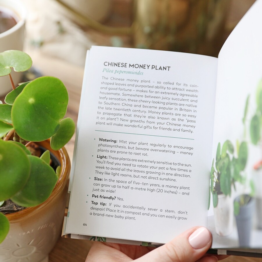 The Little Book of House Plants and Other Greenery | Lisa Angel
