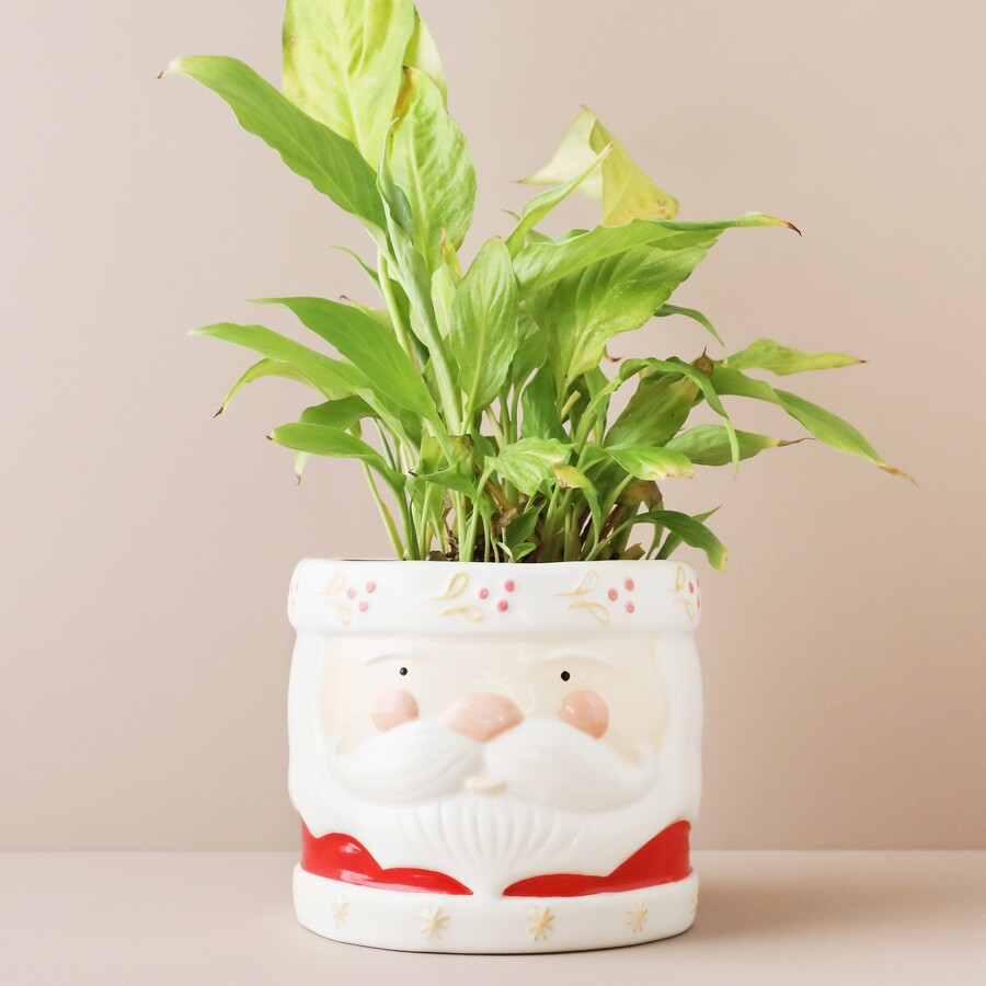 Small Ceramic Father Christmas Planter | Lisa Angel