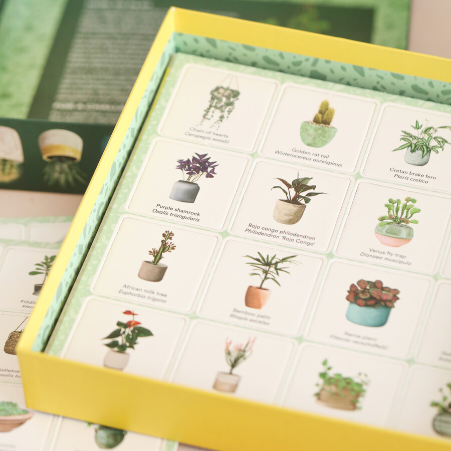 Plant Bingo Game | Lisa Angel