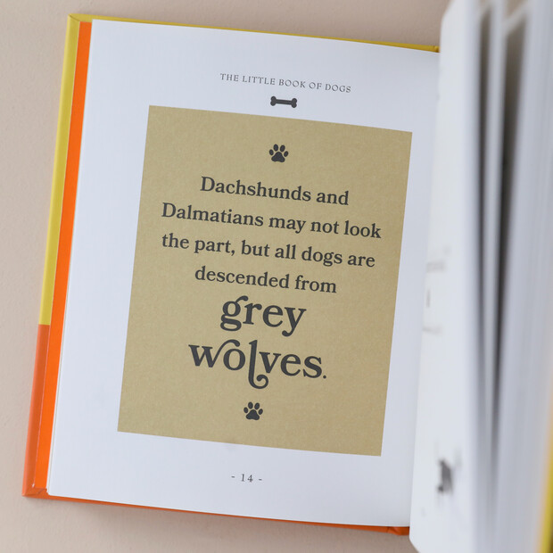 The Little Book of Dogs | Lisa Angel