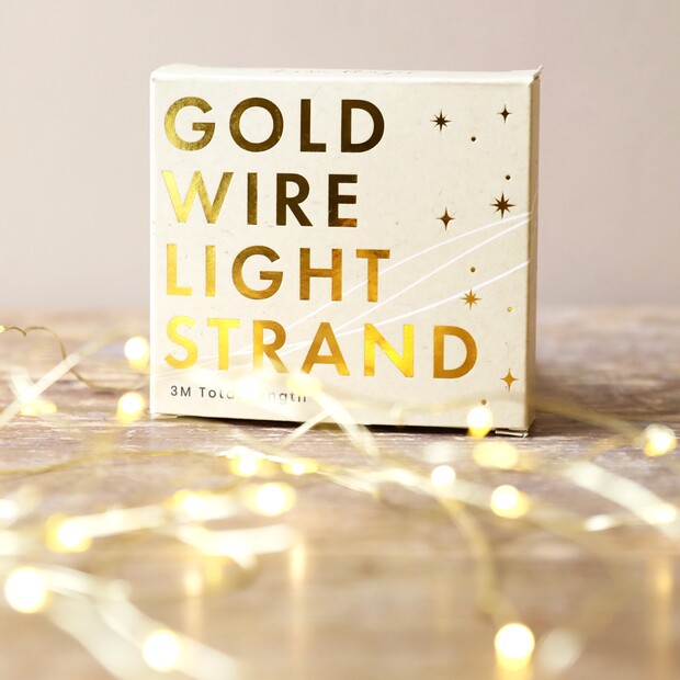 30 Battery Powered LED Gold Wire String Lights | Lisa Angel