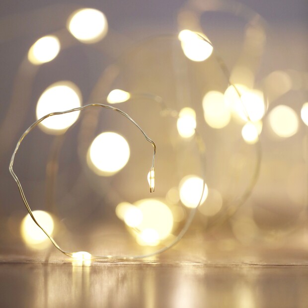 30 Battery Powered LED Gold Wire String Lights | Lisa Angel