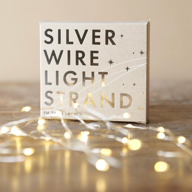 30 Battery Powered LED Silver Wire String Lights | Lisa Angel