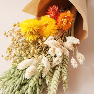 Dried Flowers | Natural Flowers | Lisa Angel