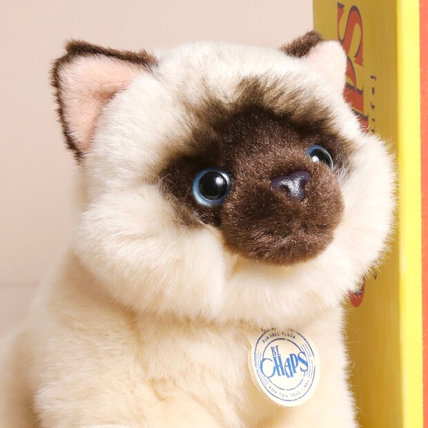 Eddie the Siamese Cat Soft Toy in Box | B.T. Chaps | Lisa Angel