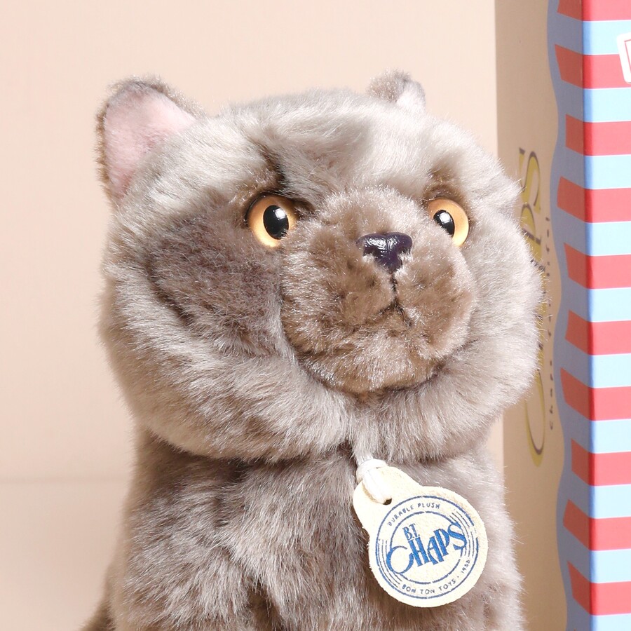 Freddy British Shorthair Cat Toy Gift Box | B.T. Chaps | Lisa Angel