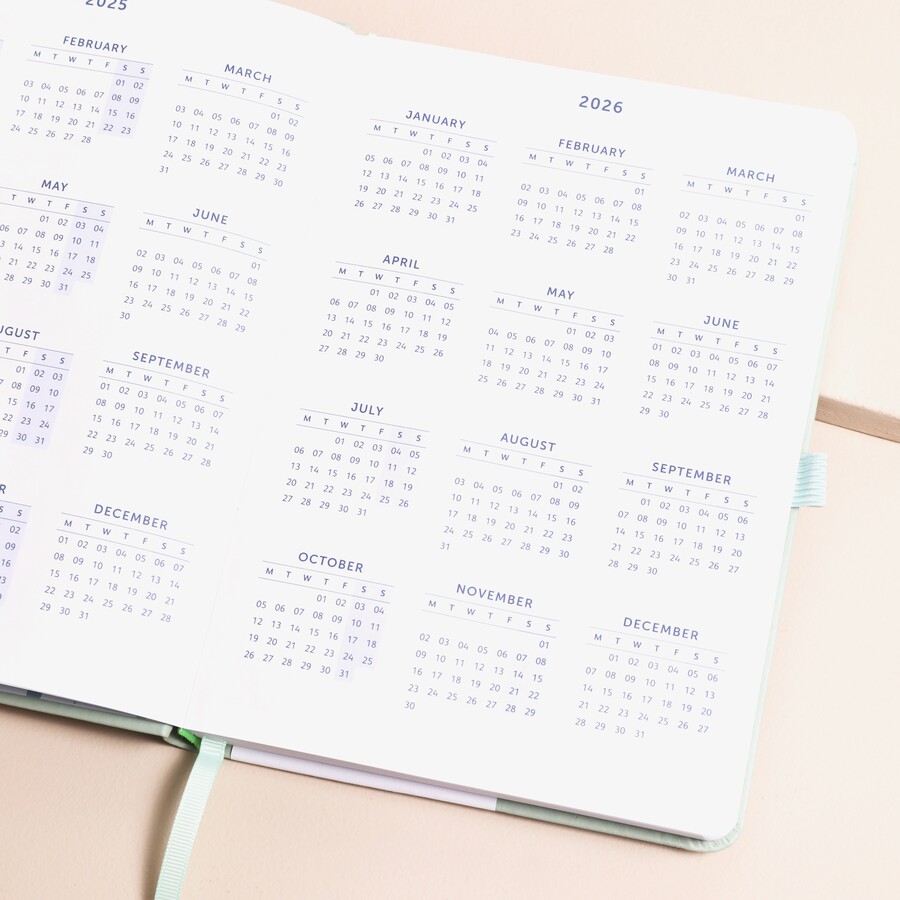 Dual Sage Schedule Day a Page Diary 2025 | Busy B | Lisa Angel