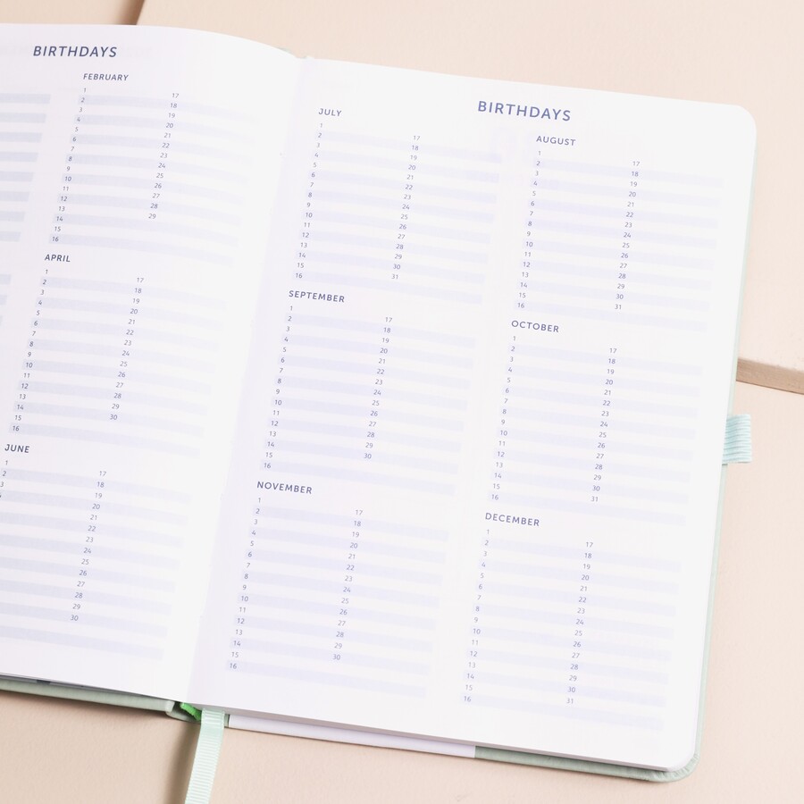 Dual Sage Schedule Day a Page Diary 2025 | Busy B | Lisa Angel