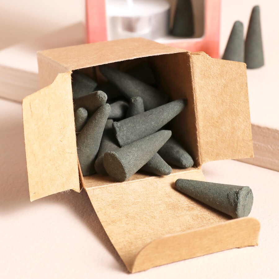 Amsterdam House Incense and Tea Light Holder | Paddywax | Lisa Angel