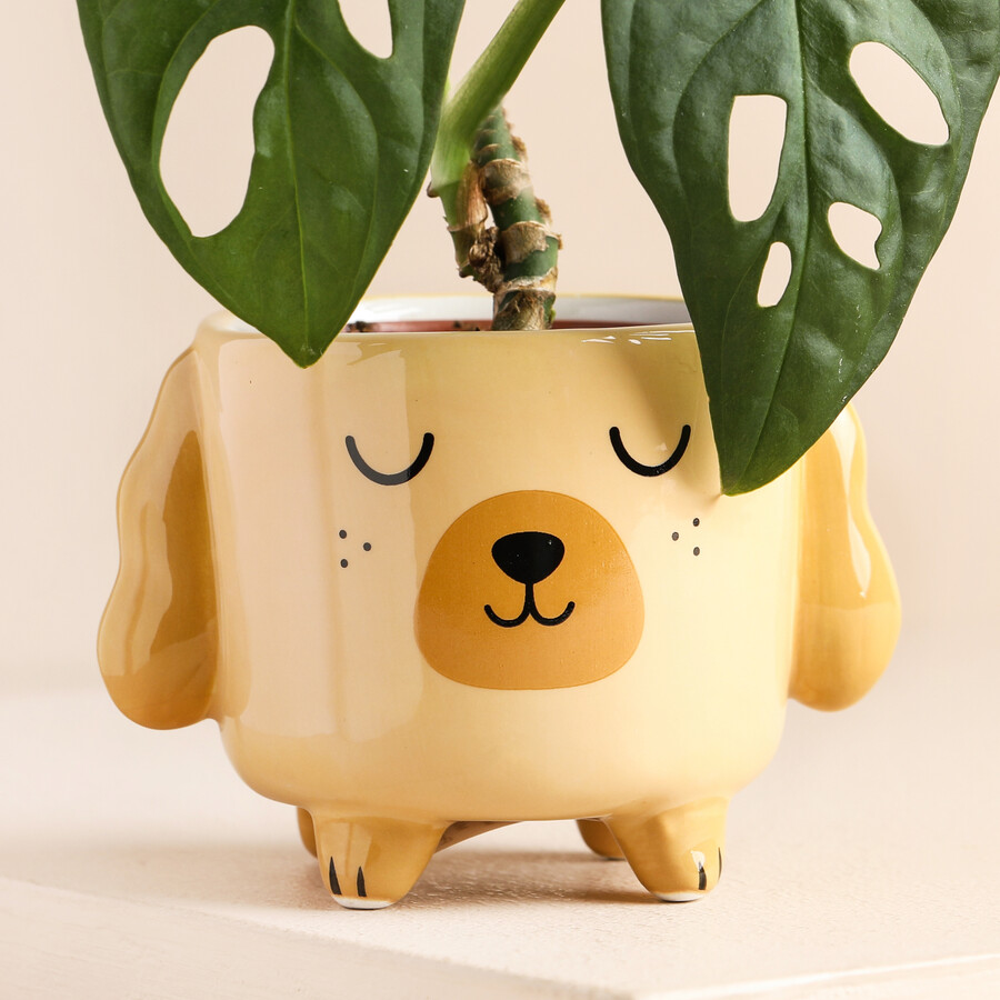 Mini Cockapoo Planter On Legs | Sass & Belle | Lisa Angel