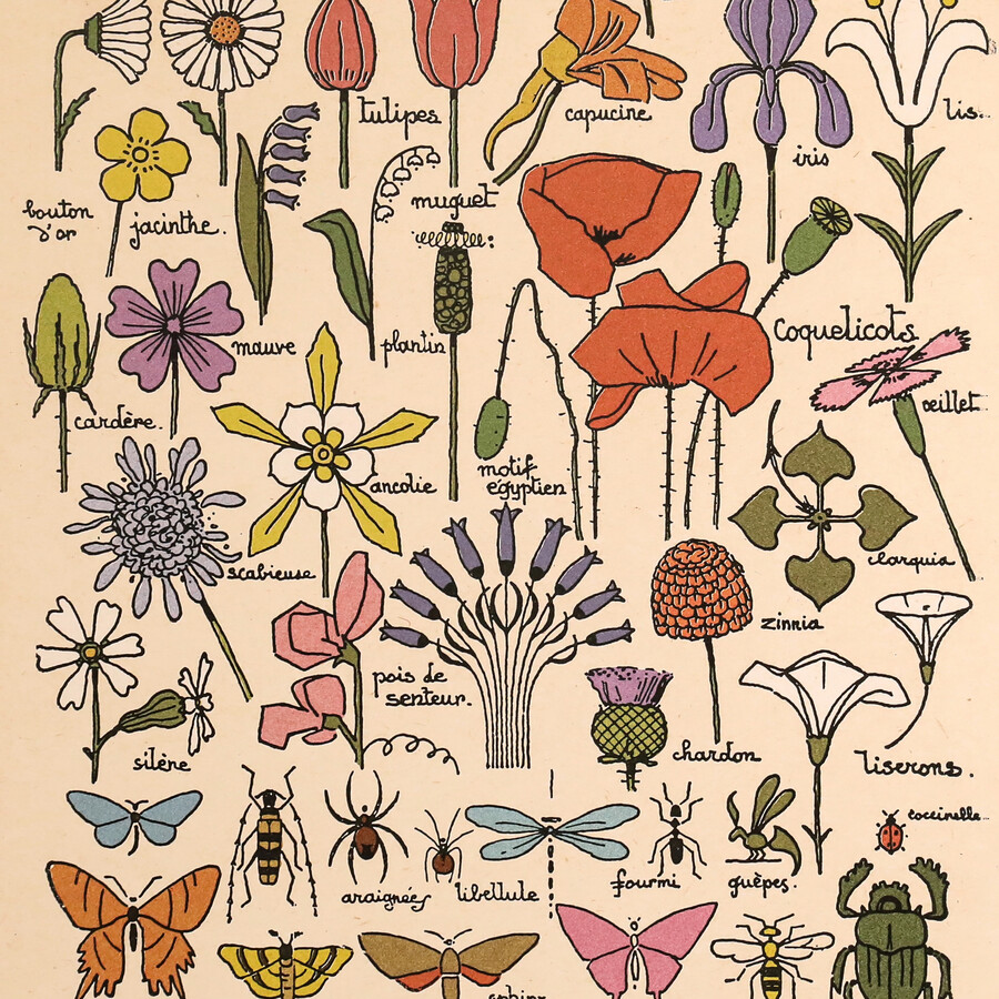 Fleurs et Insects A3 Print | Roomytown | Wall Art | Lisa Angel