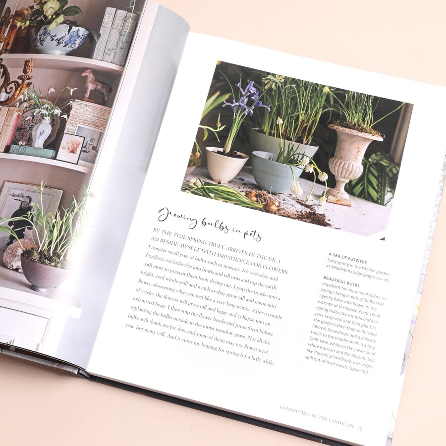 The Flower Hunter Book | Lucy Hunter | Lisa Angel
