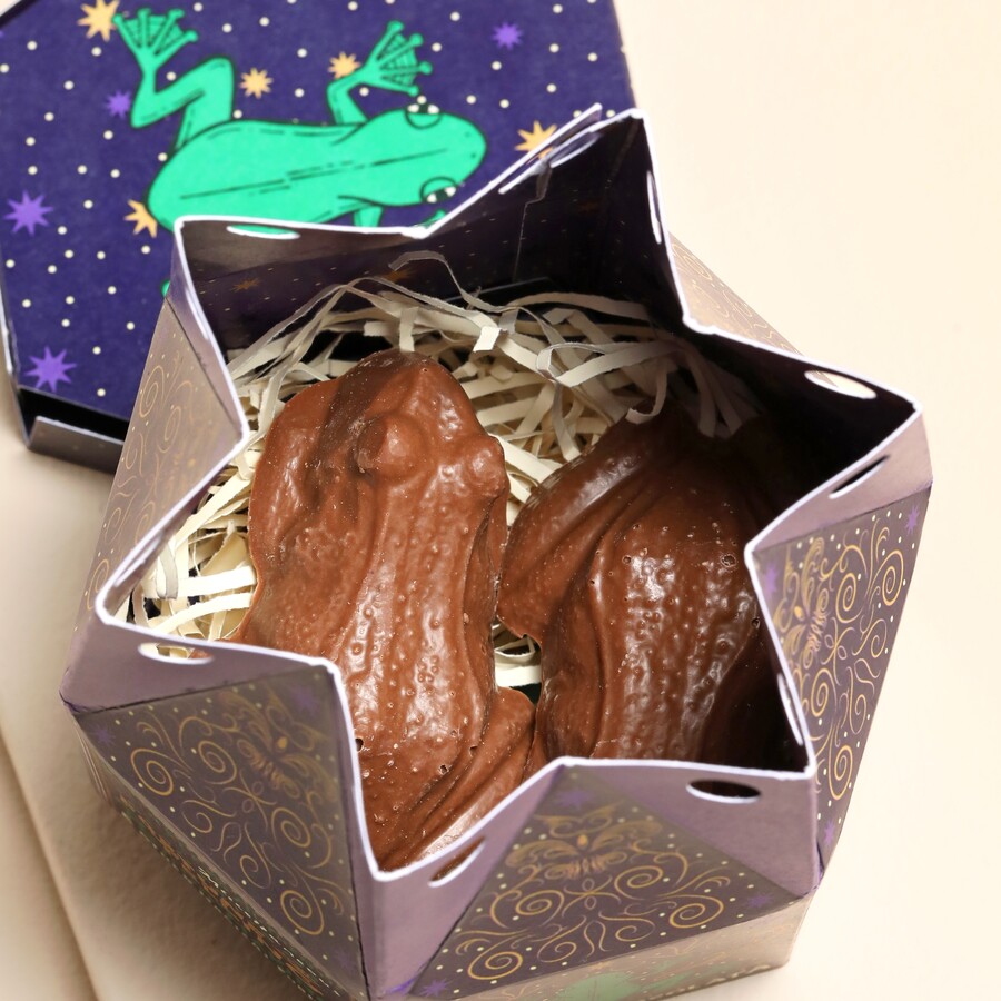 Chocolate Frog | The Chocolate Gift Co. | Gifting | Lisa Angel