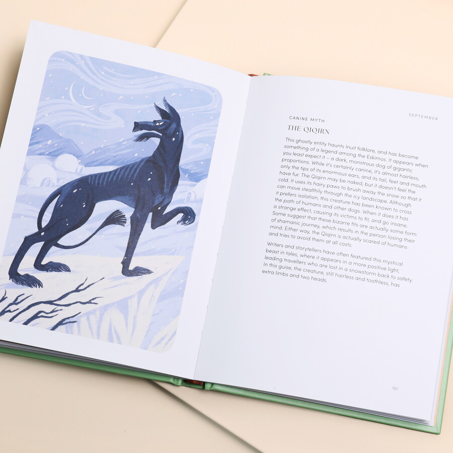The Dog Year Book | Allison Davies | Lisa Angel