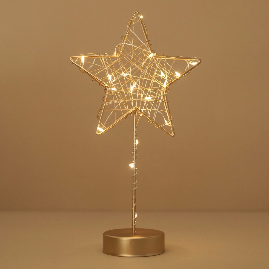 Battery Powered Light Up Star Standing Decoration | Lisa Angel