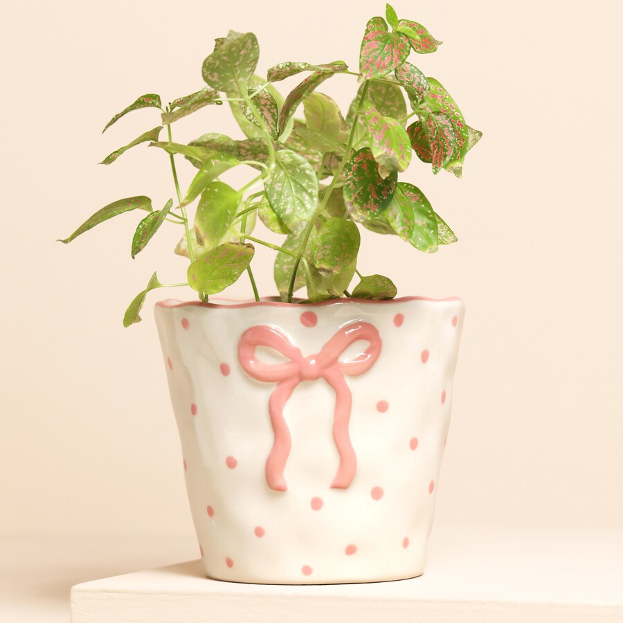 Bow Planter | Sass & Belle | Lisa Angel