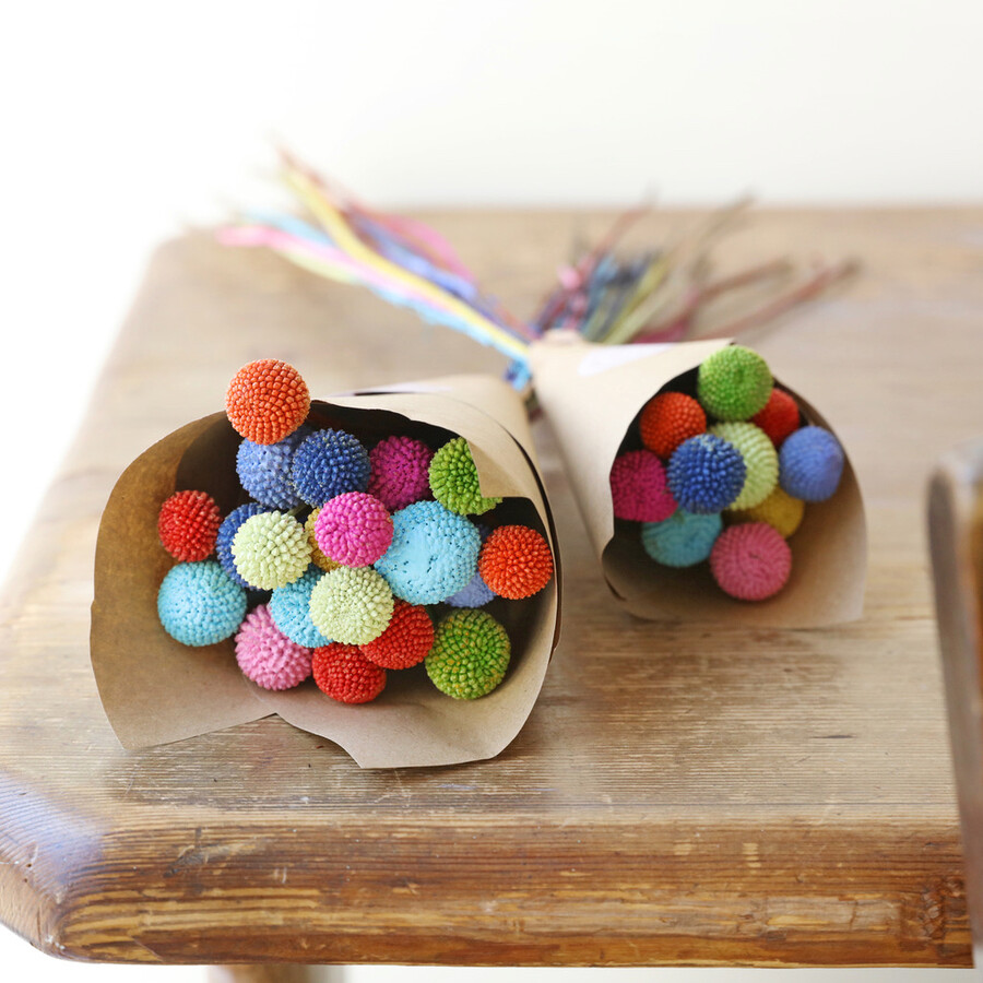Preserved Rainbow Billy Buttons Craspedia Flowers | Lisa Angel