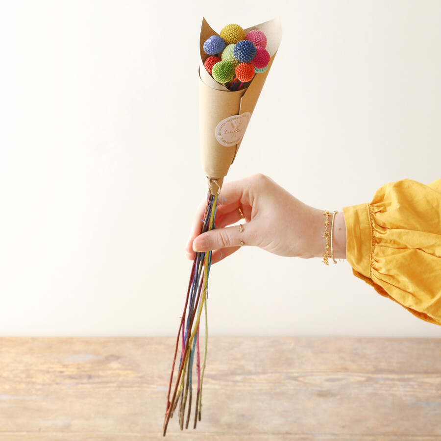 Preserved Rainbow Billy Buttons Craspedia Flowers | Lisa Angel