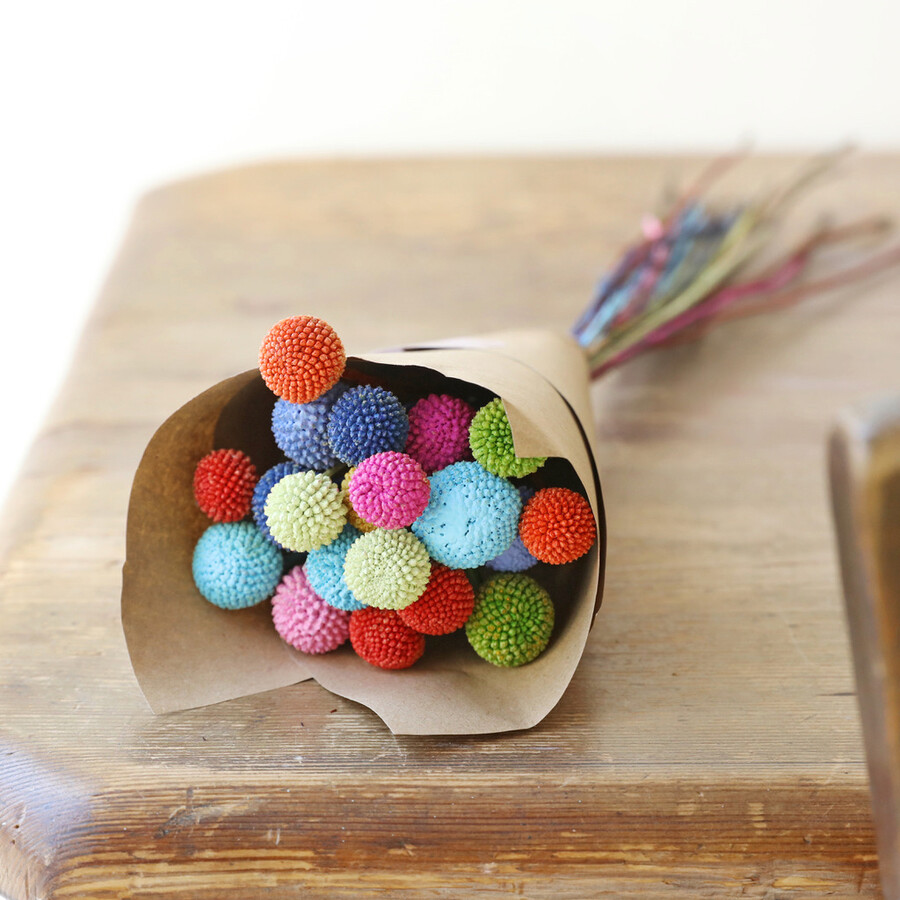 Preserved Rainbow Billy Buttons Craspedia Flowers | Lisa Angel