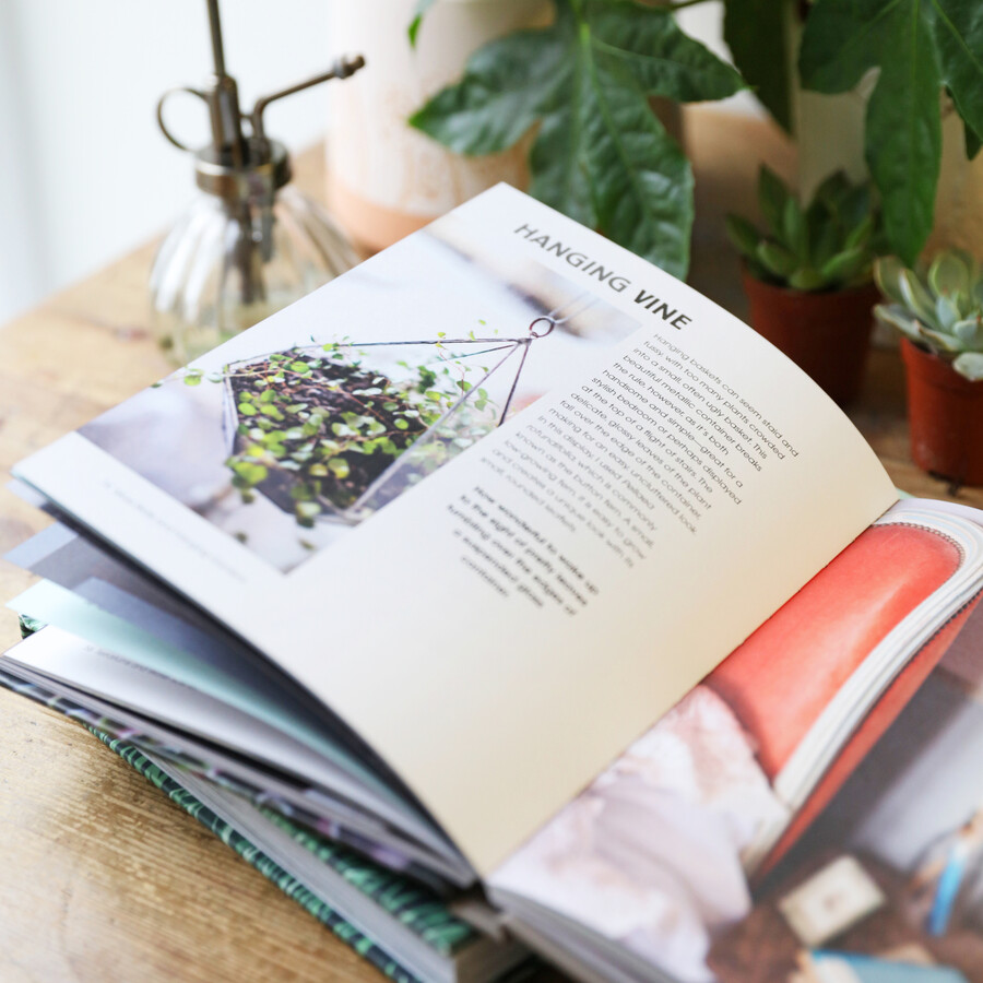 Succulents and All Things Under Glass Book | Lisa Angel