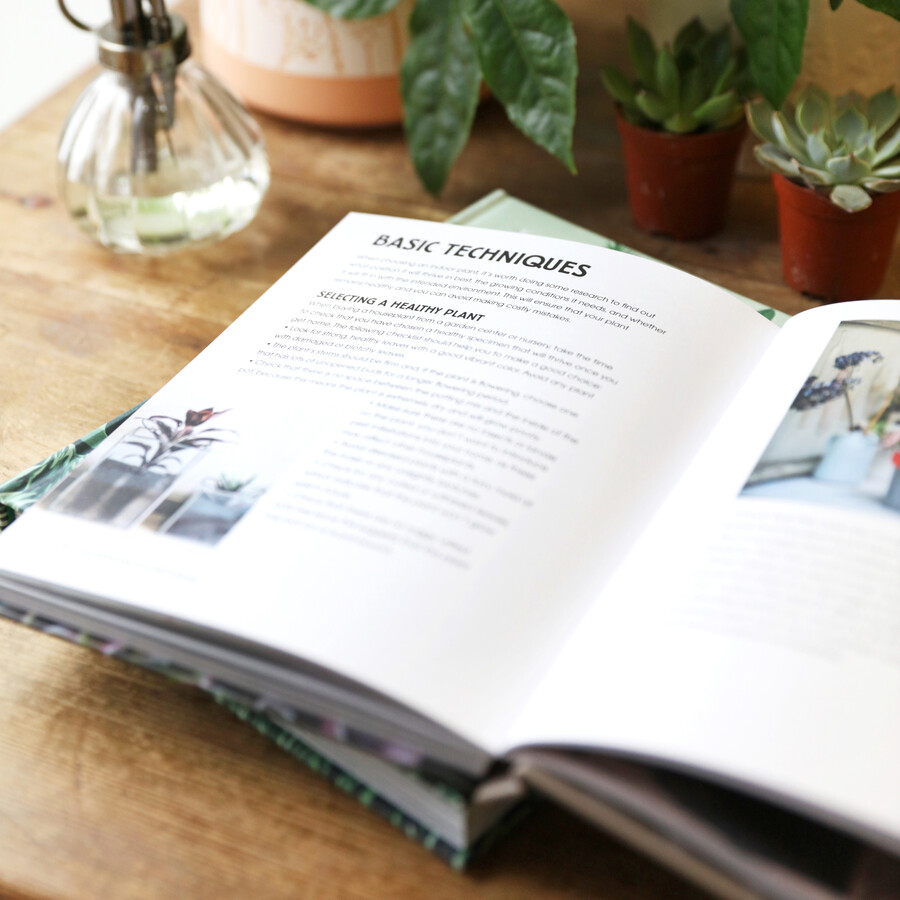 Succulents and All Things Under Glass Book | Lisa Angel