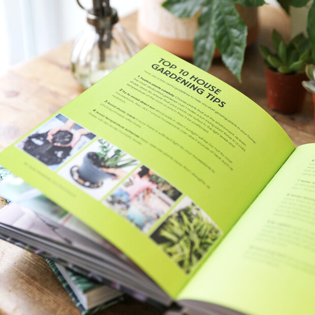Succulents and All Things Under Glass Book | Lisa Angel