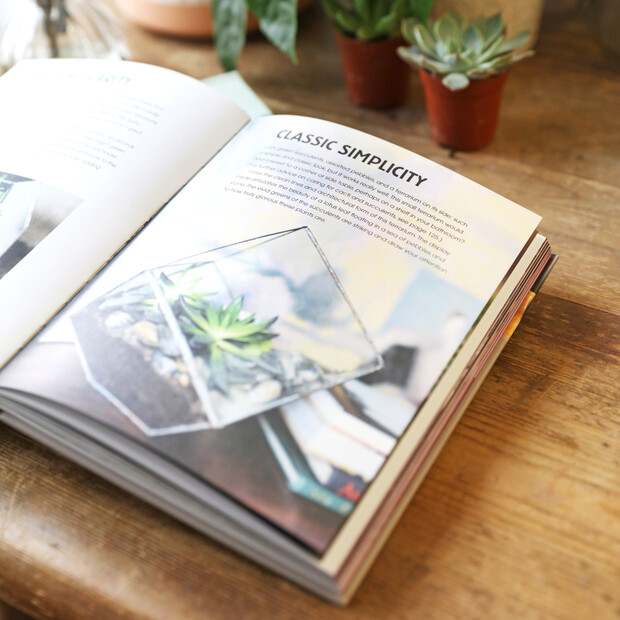 Succulents and All Things Under Glass Book | Lisa Angel