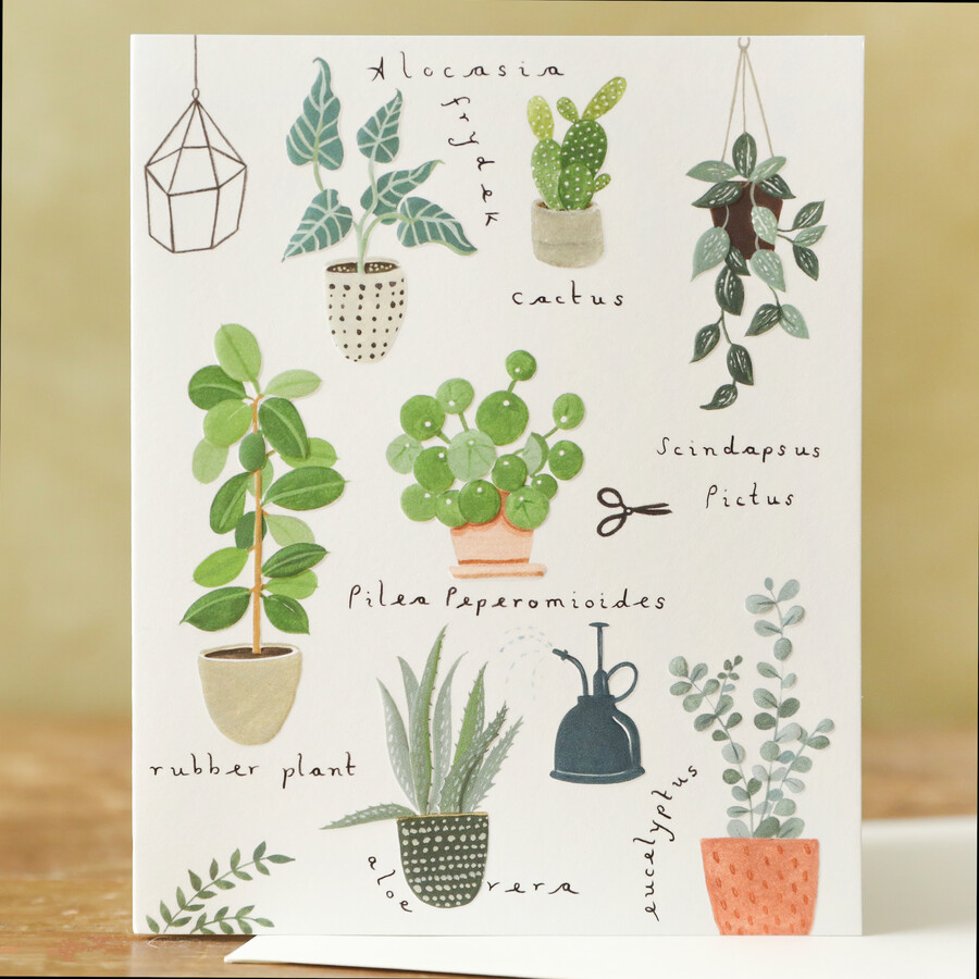 Illustrated Plant Greetings Card | Lisa Angel