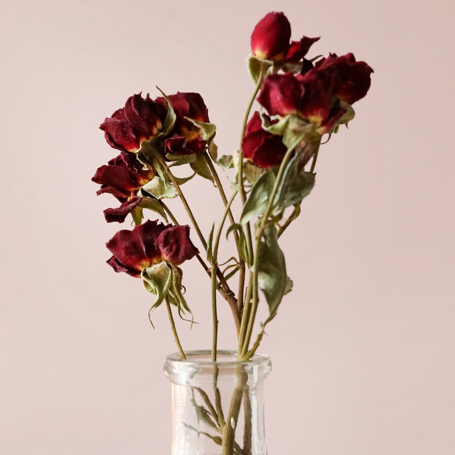 Small Dried Red Rose Posy | Dried Flowers | Lisa Angel