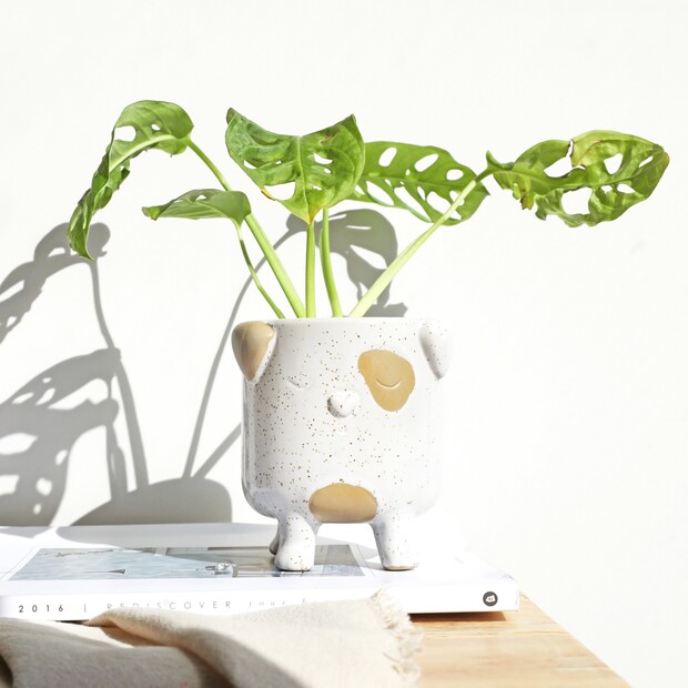 Natural Ceramic Dog Planter | Lisa Angel