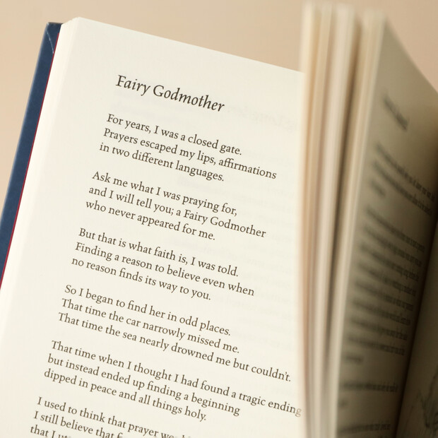 Fierce Fairy Tales Book | Lisa Angel