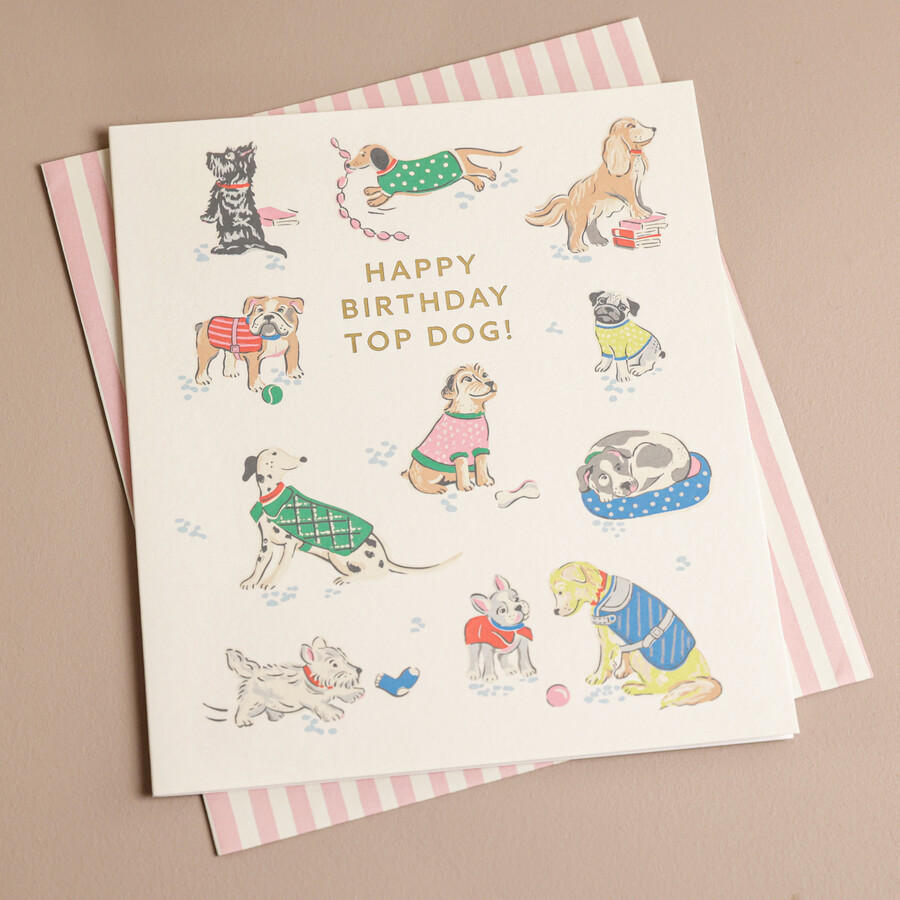Top Dog Birthday Card | Cath Kidston | Lisa Angel