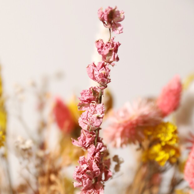 Yellow and Pink Dried Flower Bouquet | Lisa Angel