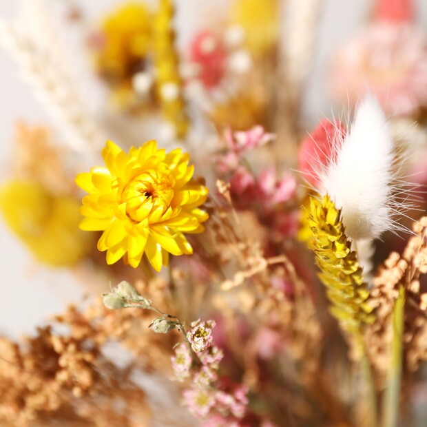 Yellow and Pink Dried Flower Bouquet | Lisa Angel
