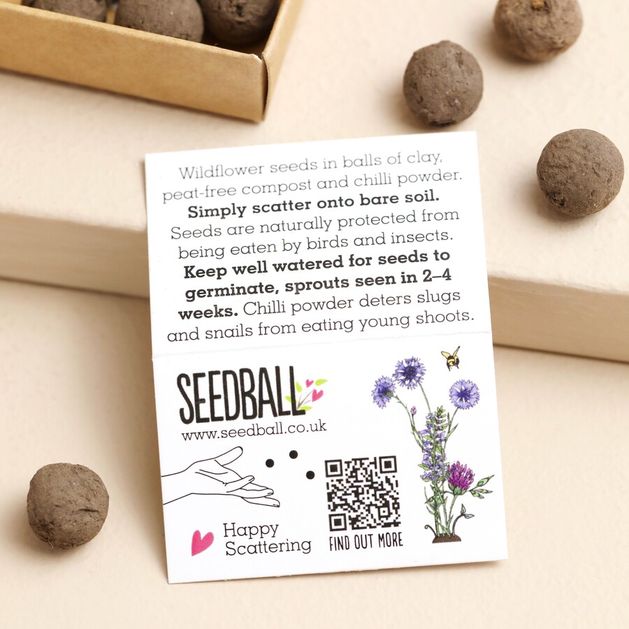 Assorted Bee Seed Ball Matchbox Gift | Seedball | Lisa Angel