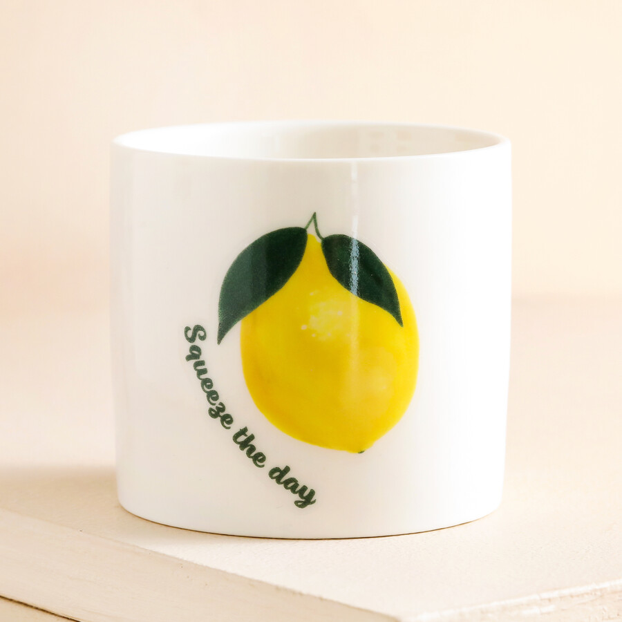 Lemon Mini Planter | Indoor Home Accessories | Lisa Angel