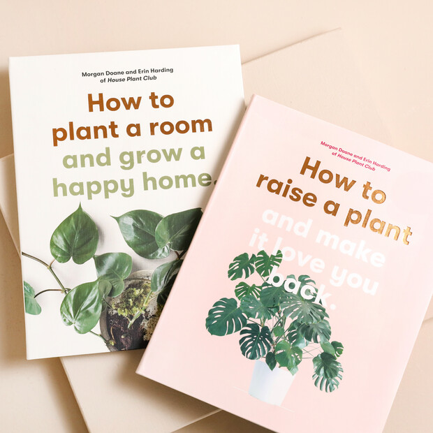 How to Raise a Plant and Make it Love You Back Book | Lisa Angel