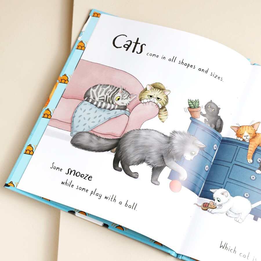 All Kinds of Cats Book | Children's Stories | Jellycat | Lisa Angel