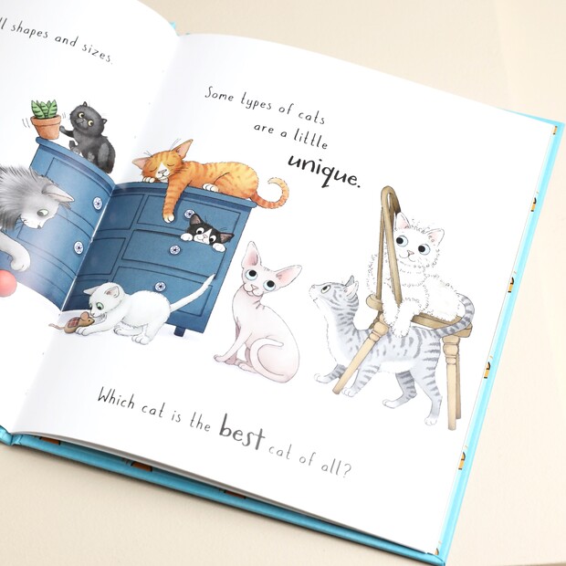 All Kinds of Cats Book | Children's Stories | Jellycat | Lisa Angel
