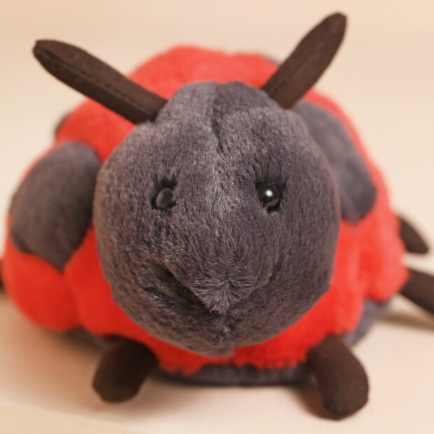 Layla Ladybird Soft Toy | Children's | Jellycat | Lisa Angel